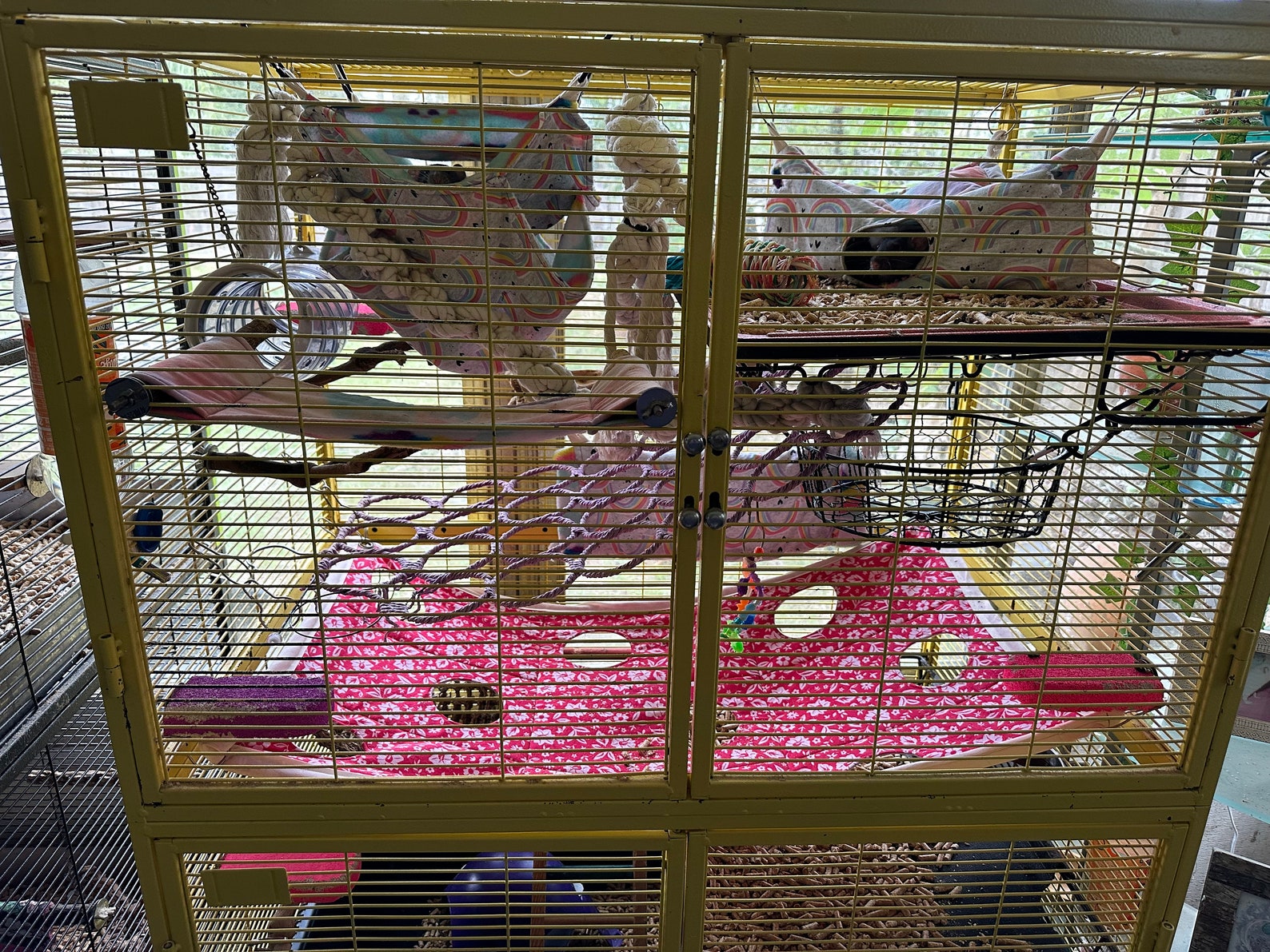 Rat Fall Breaker, Rat Fall Safe, Rat Cage Hammock, Rat Cage, fall ...