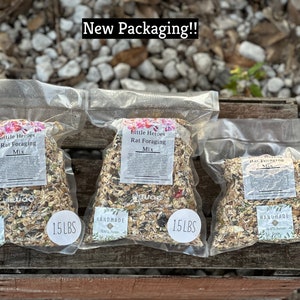 Healthy Rat Diet, Foraging Food Mix, Shunamite Inspired - Etsy
