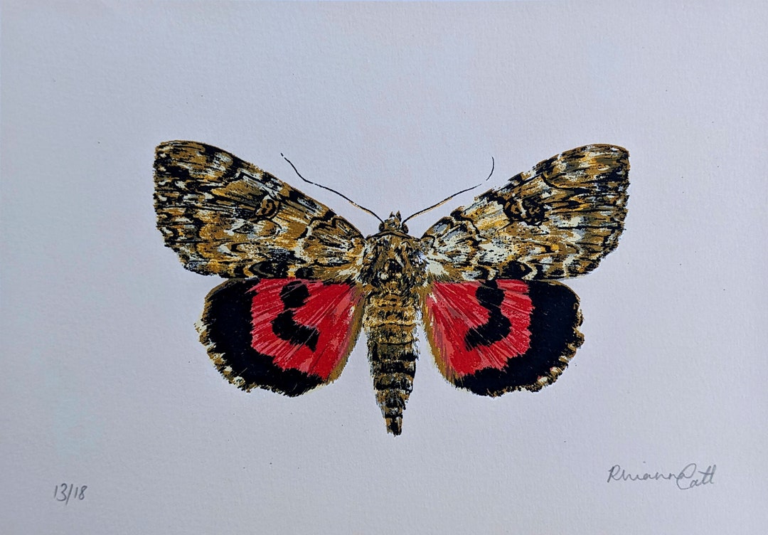 Original 9 Layer Screen-print - Red Underwing - Rhianna Catt - Etsy