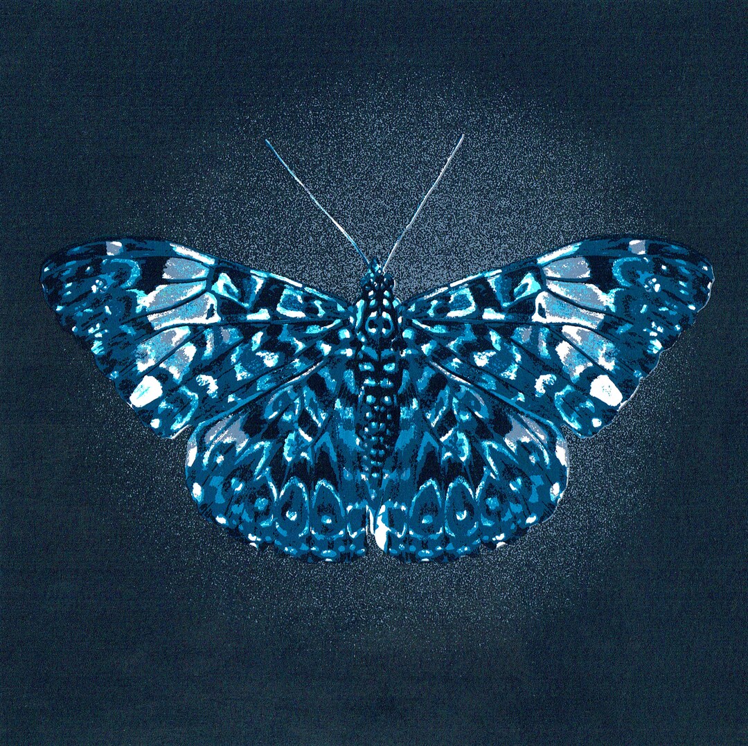 Inverse - Original Limited Edition Butterfly Screen-print - Rhianna ...