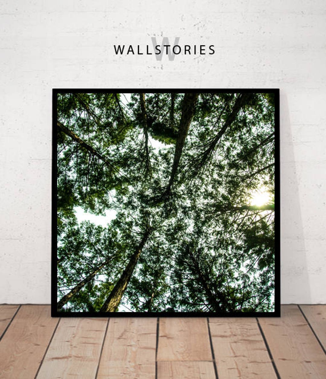 Trees Print, Trees Square, Tree Crown, Tree Photography, Tree Wall ...