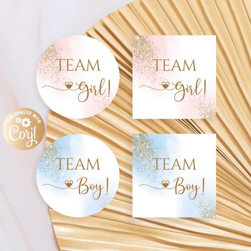 Boy or Girl Stickers - Etsy