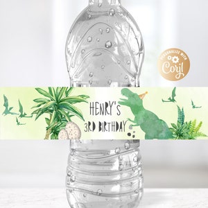 Editable Dinosaur Bottle Label, for Boy, Dino T-rex Birthday Water ...