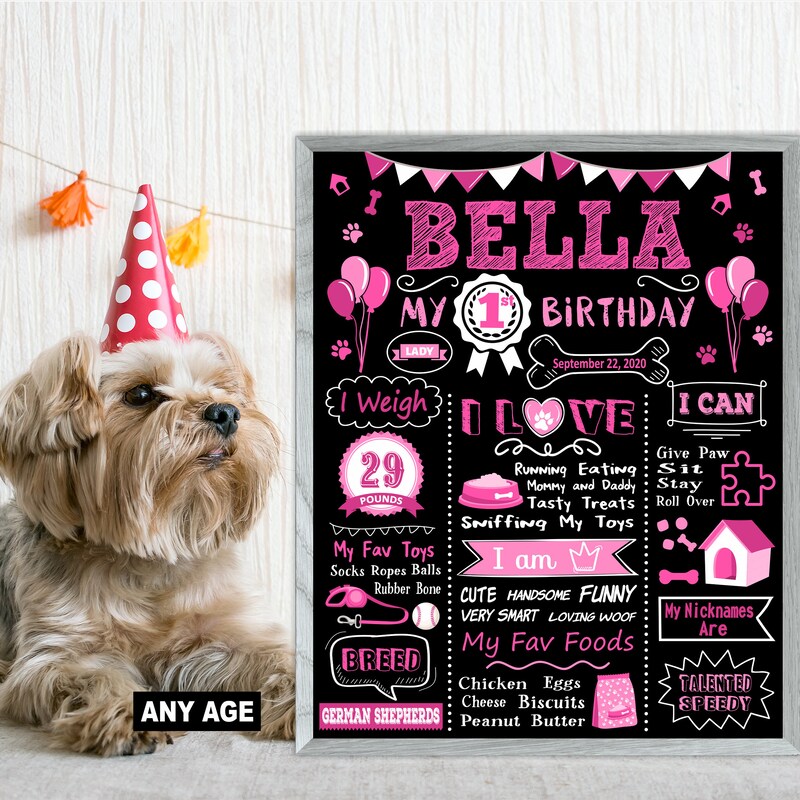 Party Chalkboard - Etsy