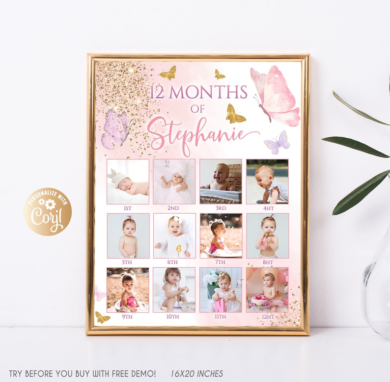 Editable Butterfly First 12 Months Photo Collage Sign - Etsy