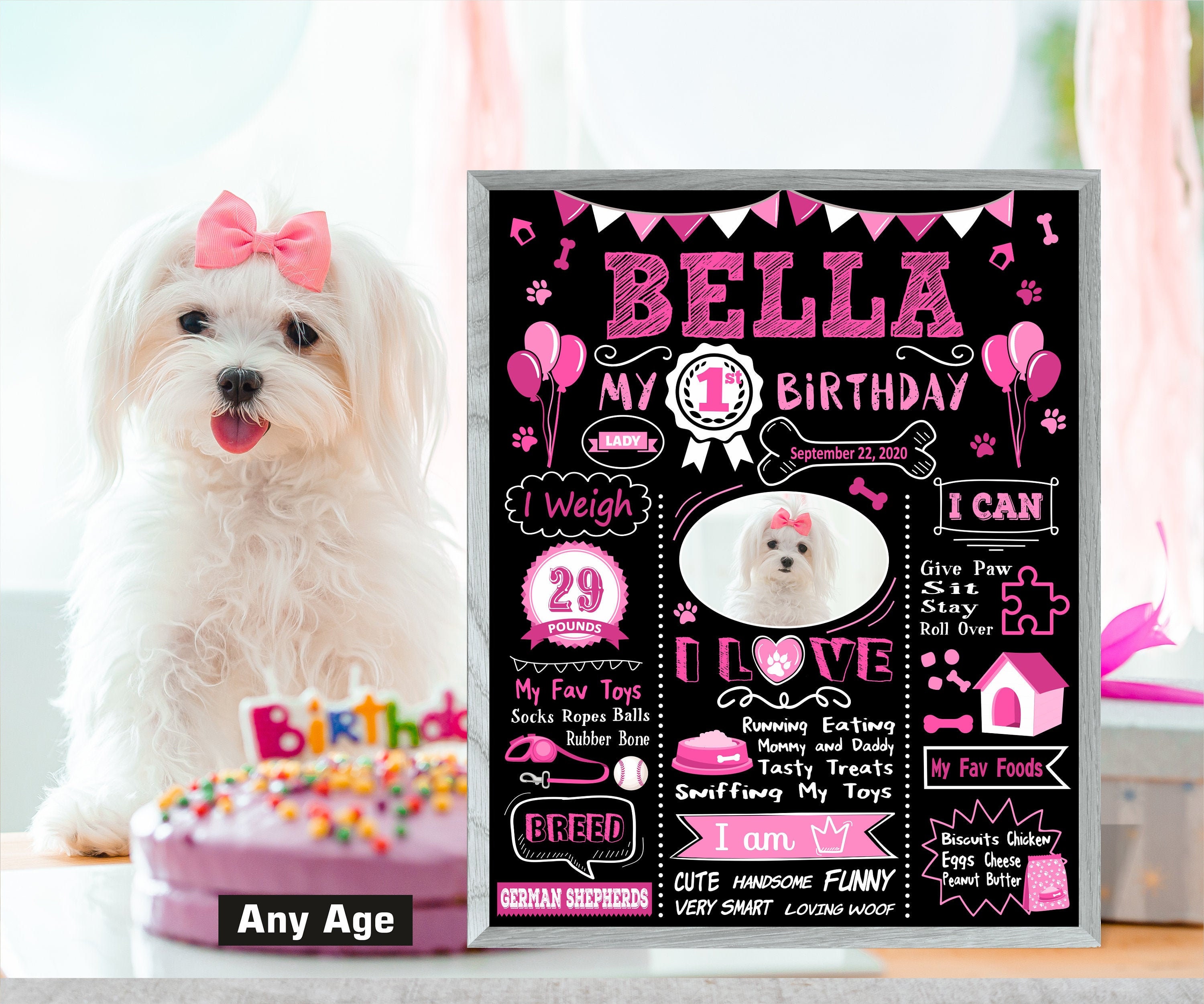 Dog Birthday Chalkboard Sign, Female Dog, 1st Party Chalk Board Poster ...