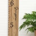 Hand Routed Solid Wood Growth Chart Ruler - Select Pine Board Version ...