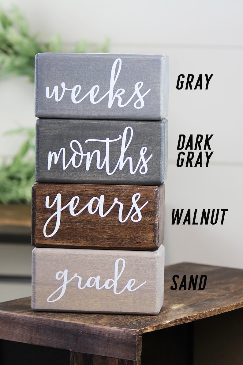 Custom Baby Milestone Blocks Age Blocks Baby Month Blocks | Etsy