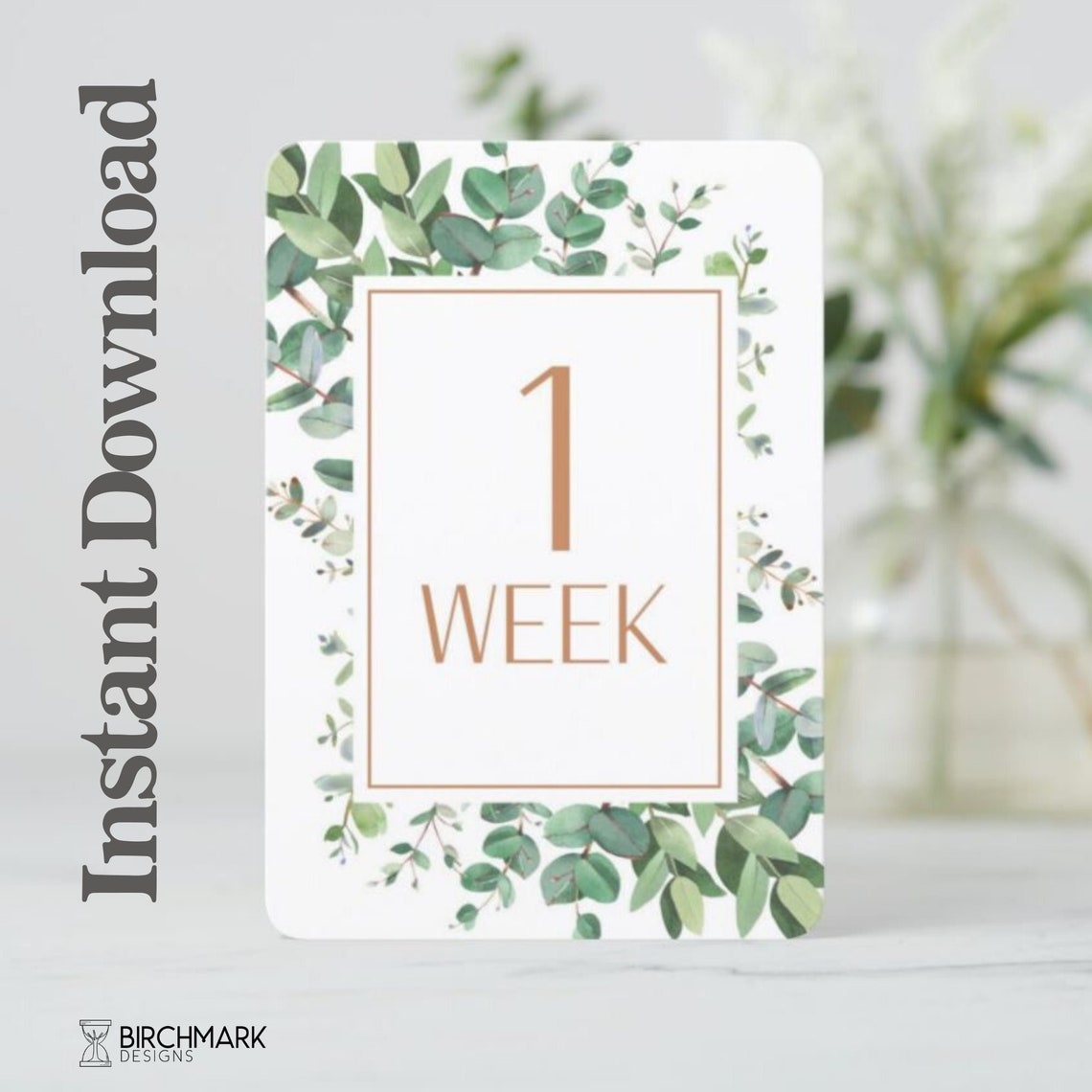 Eden Baby Milestone Cards DIY Digital Download Monthly - Etsy