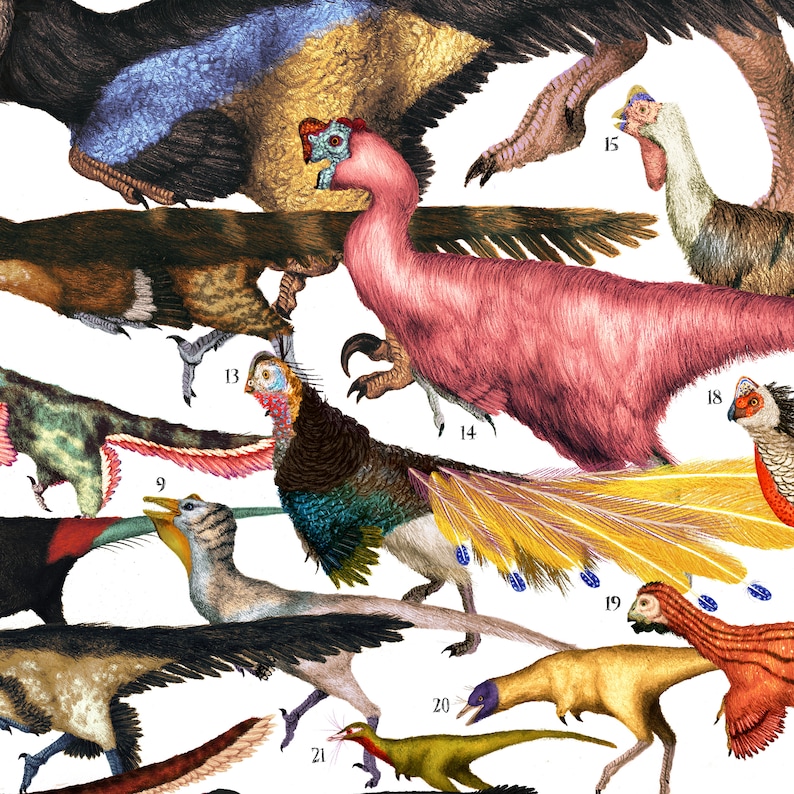 Poster - Mongolian Maniraptor Dinosaurs - Etsy