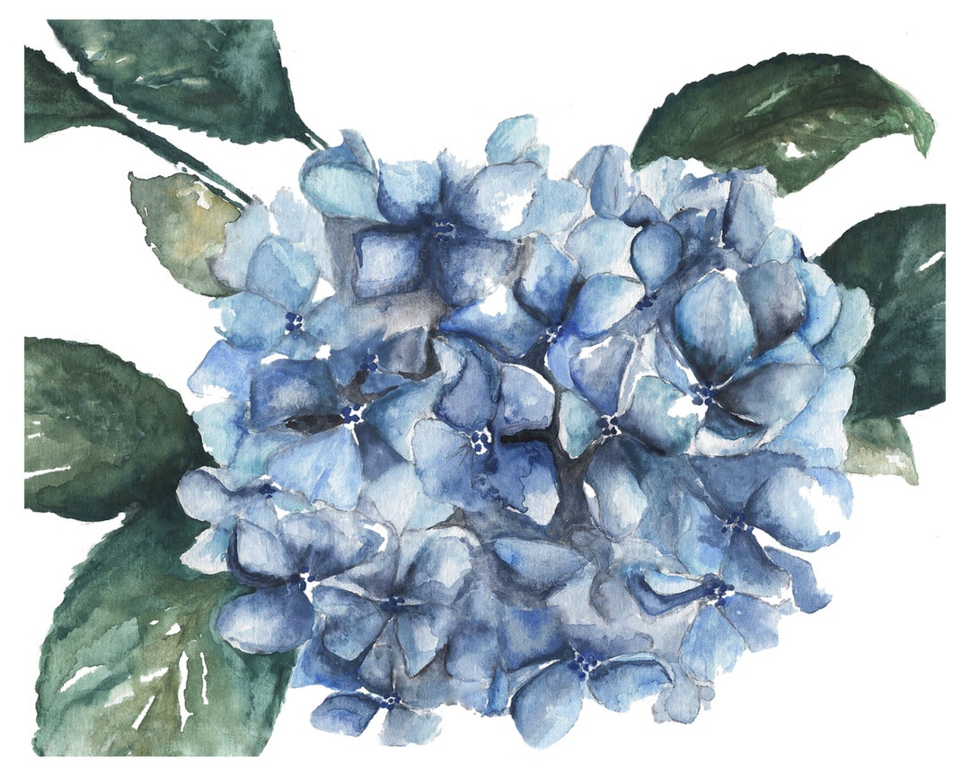 Hydrangea Watercolor Print - Etsy