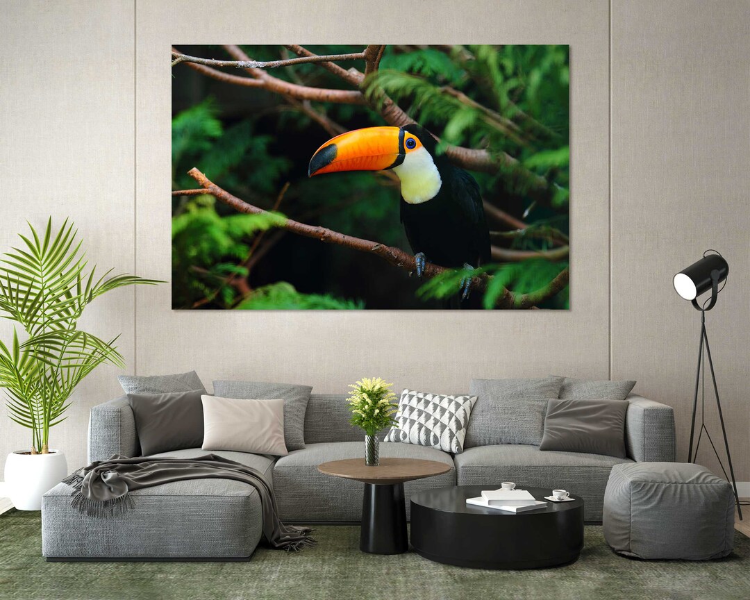 Toucan Picture Print, Toucan Painting on Canvas, Toucan Artwork, Toucan ...