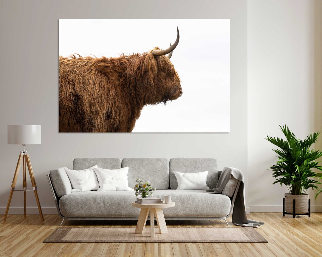 Furry Highland Cow Print White Background Highland Cow Stylish Art for ...
