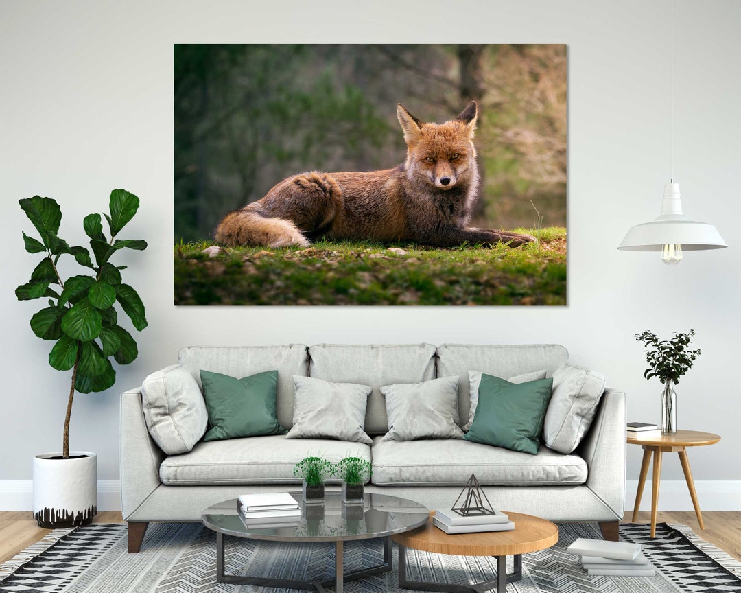 Cute Red Fox Contemporary Art for Wall, Fox Art for Gifts, Fox Pictures ...