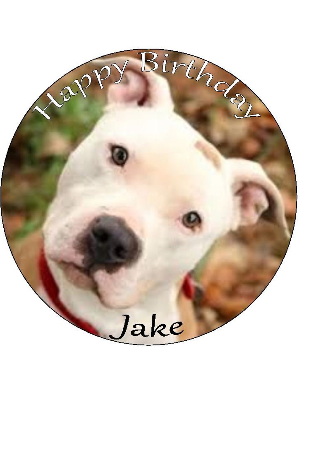 Pitbull Edible Cake Topper Icing Sheet Free Message - Etsy