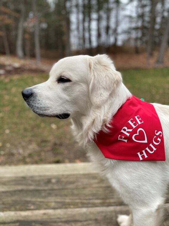 Free Hugs Valentine Dog Bandana Slides Over Collar Pet | Etsy