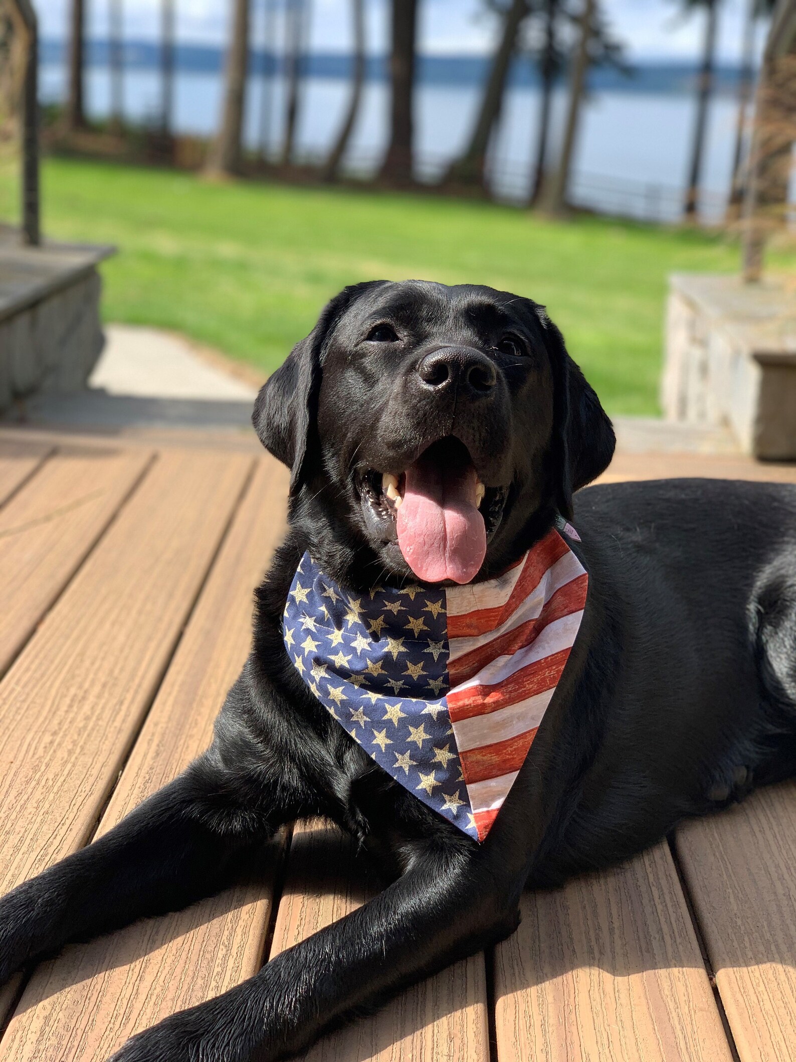 American Flag Dog Bandana Slides Over the Collar Cat - Etsy