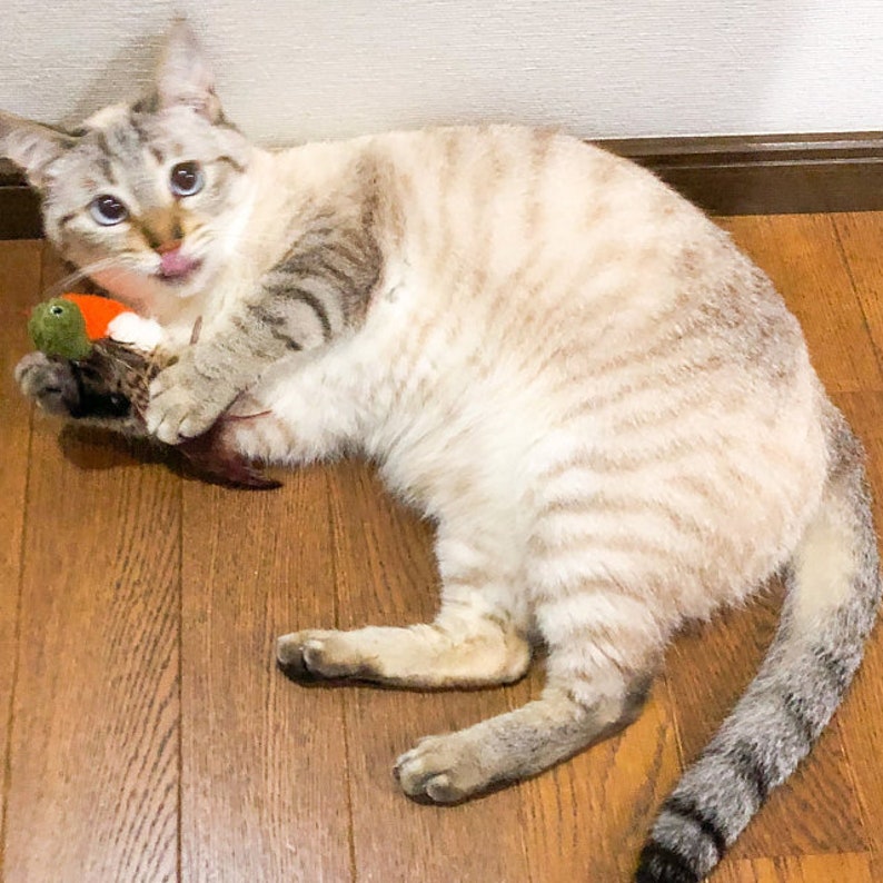 Robbie Robyn Bird Cat Toy by Tiga Toys Realistic Feather Chase | Etsy