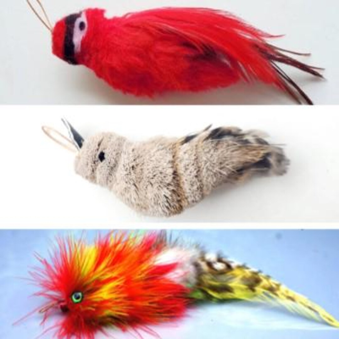 3 Combo Pack - Charlie Cardinal, Wallace Bird, Mardi Gras Feather Toy ...