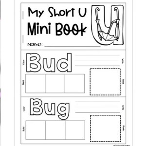 CVC Word Families Phonics Mini Booklet Activity Vowels A, E, I, O, U ...