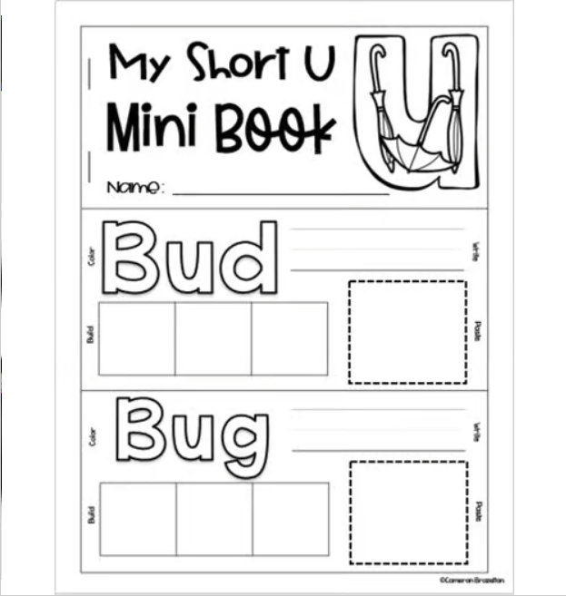 CVC Word Families Phonics Mini Booklet Activity Vowels A, E, I, O, U ...