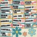 Daily Visual Schedule Cards Classroom Agenda Groovy Retro Vibes Theme ...