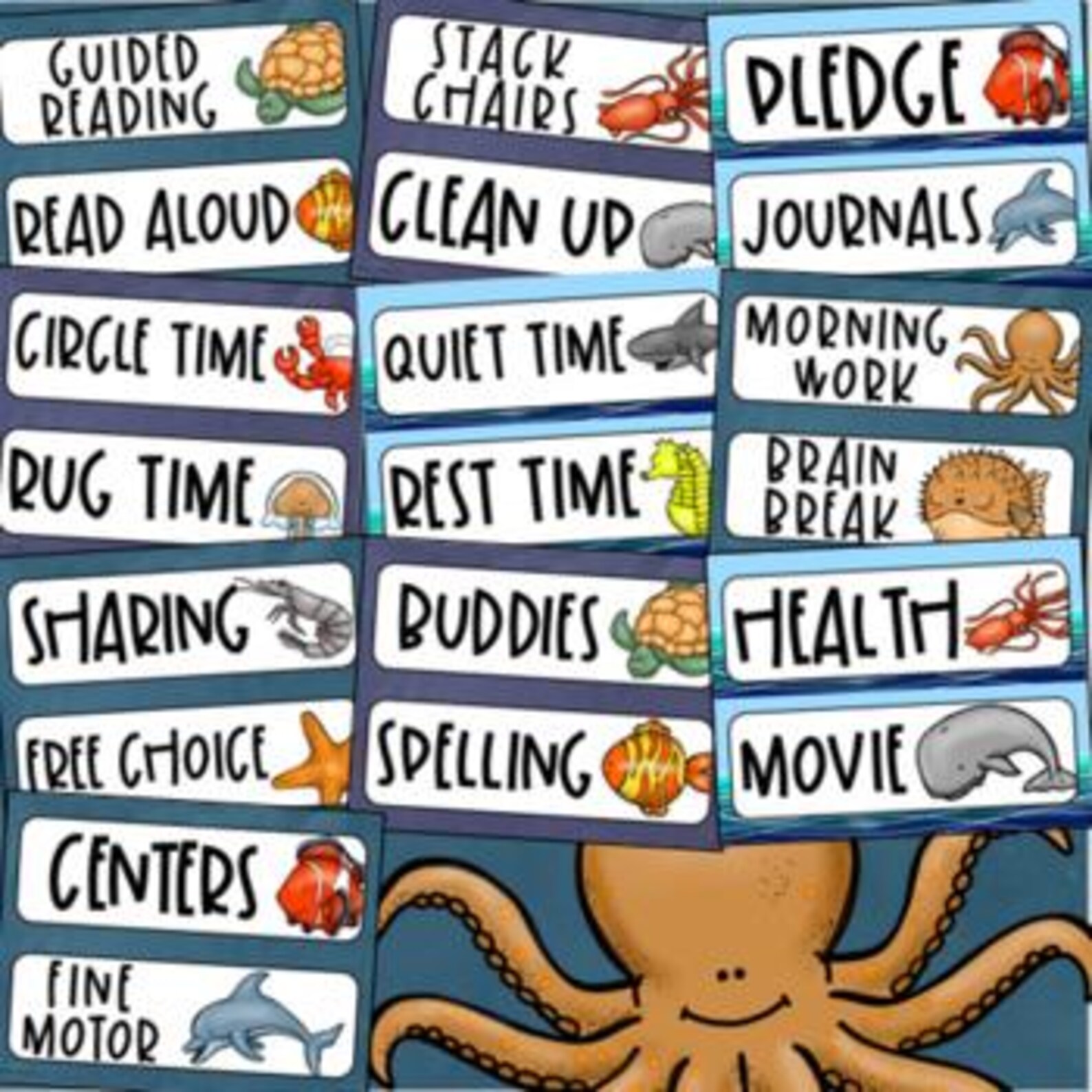 Daily Classroom Schedule Agenda Cards Ocean Under the Sea Theme ...