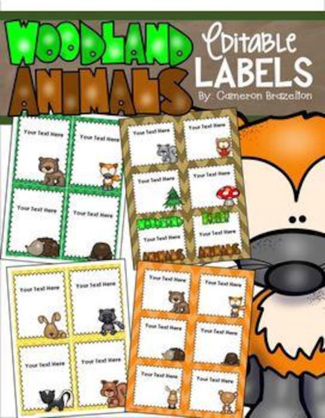 Woodland Animals Forest Camping Theme Classroom Labels Decorations ...