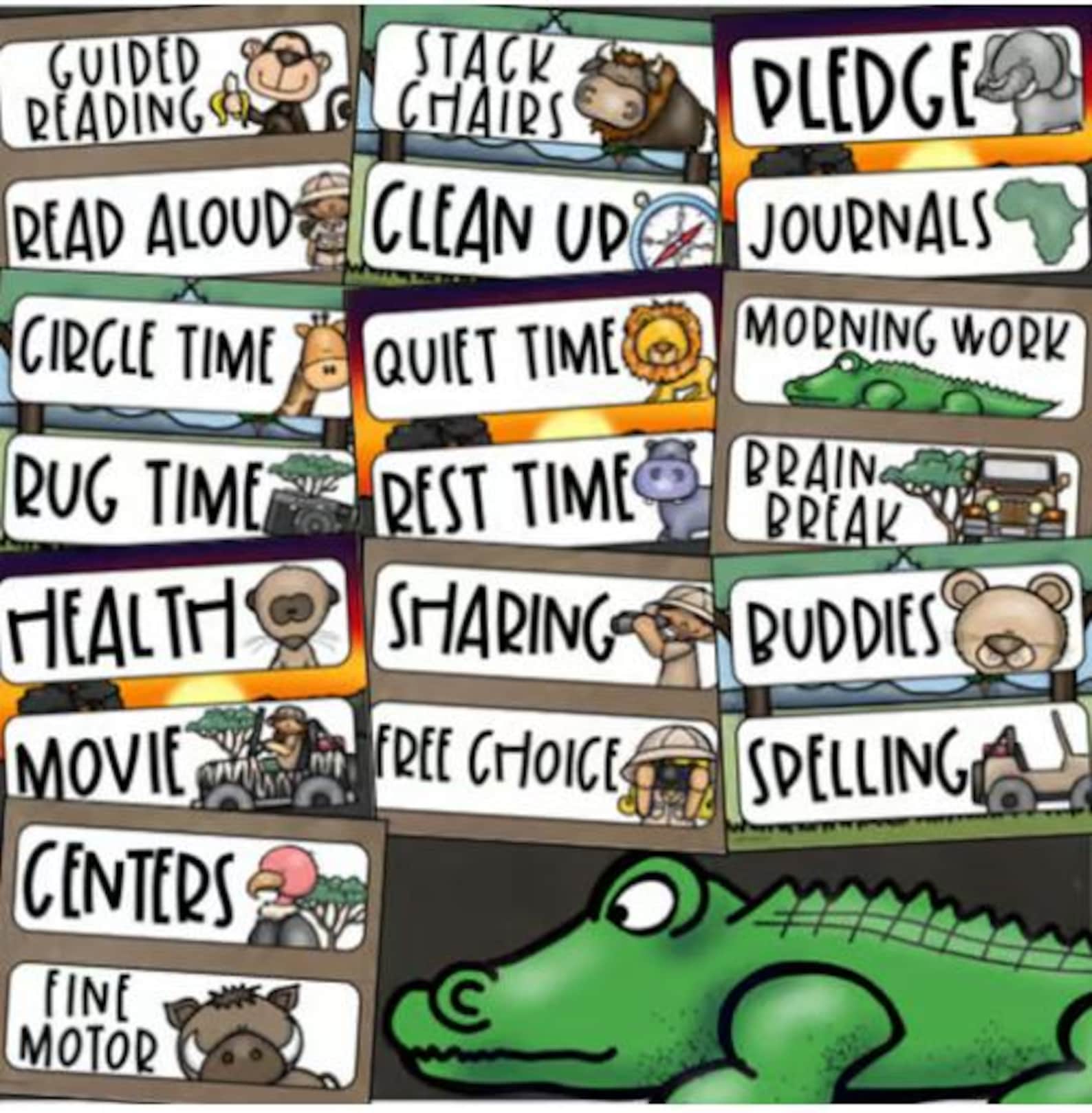 Daily Visual Schedule Cards for Classroom Agenda Jungle Safari Theme ...