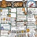 Jungle Safari Classroom Decorations and Management Mega Bundle INSTANT ...