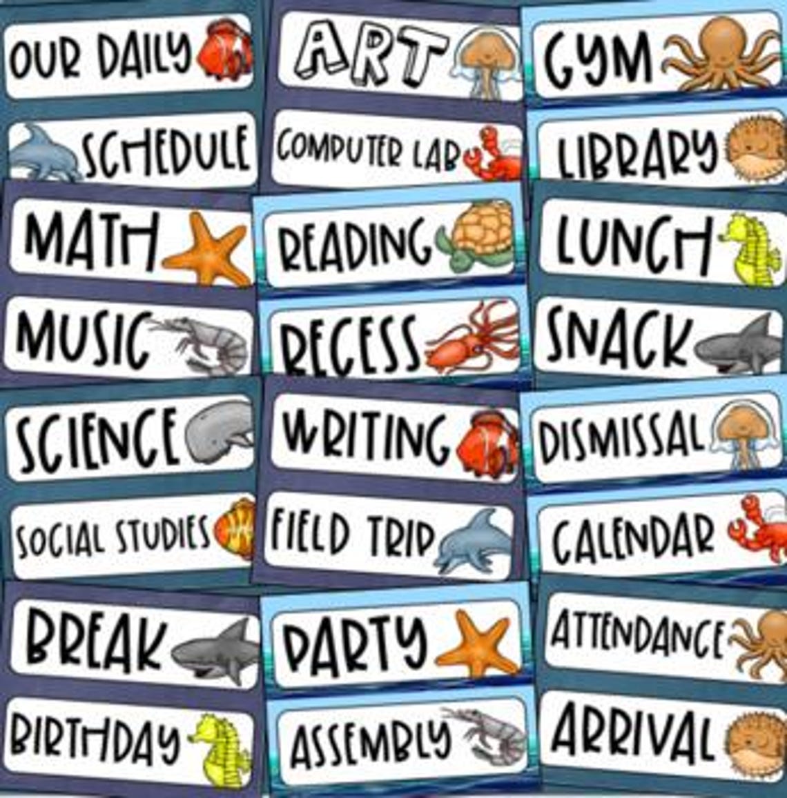 Daily Classroom Schedule Agenda Cards Ocean Under the Sea Theme ...