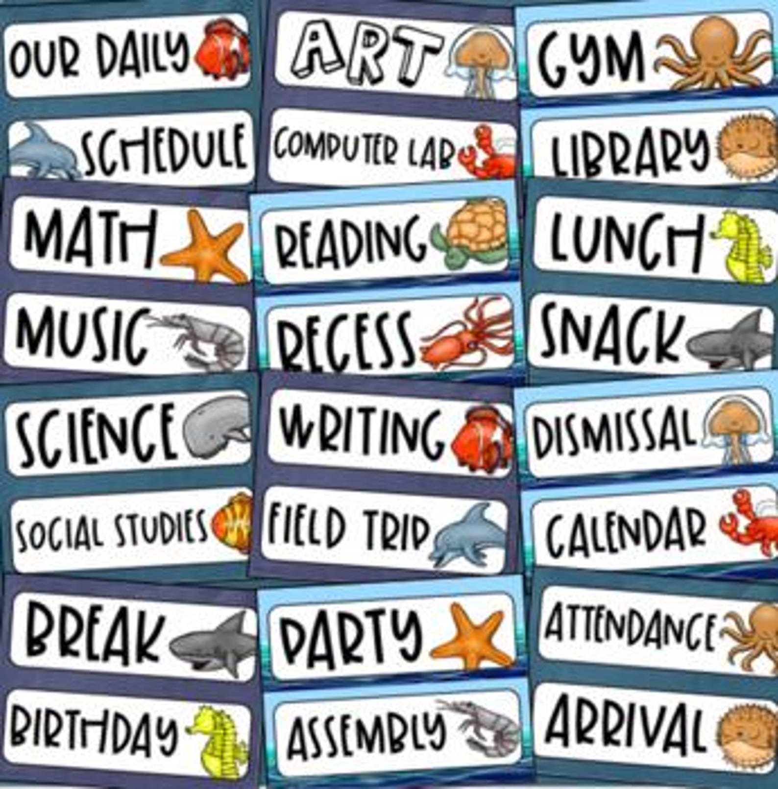Daily Classroom Schedule Agenda Cards Ocean Under the Sea Theme ...