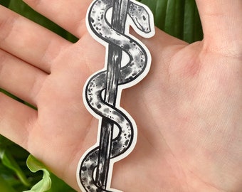 Hobo Nickel Snake Viper Rod of Asclepius Morgan Dollar Silver - Etsy