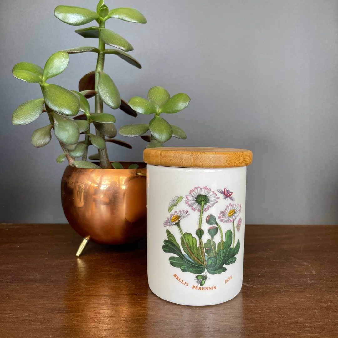 Vintage Portmeirion Botanic Garden Canister Large 3.5 Inch, Daisy ...