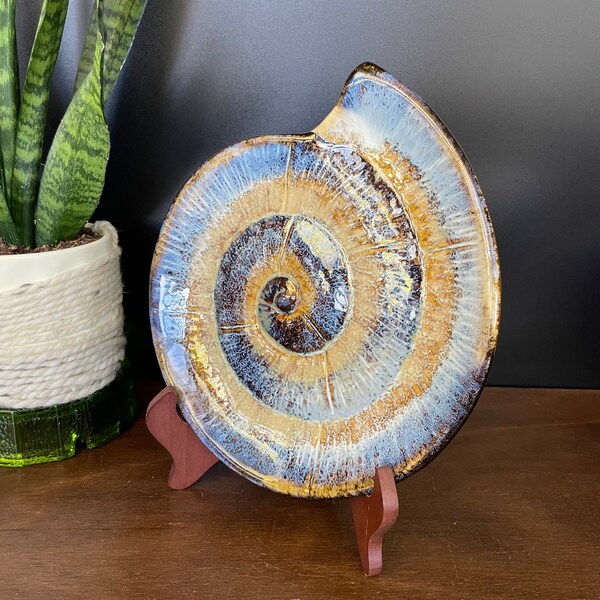 Ammonite Shell - Etsy
