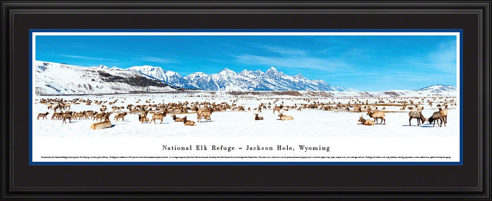 National Elk Refuge, Jackson Hole, Wyoming / Panoramic Picture - Etsy