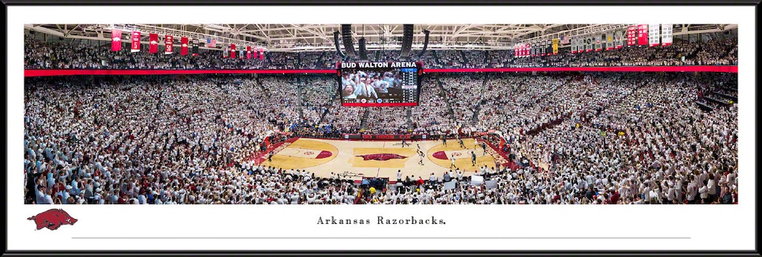 NBA Arizona Razorbacks Bud Walton Arena white out Crowd Wall Panoramic ...