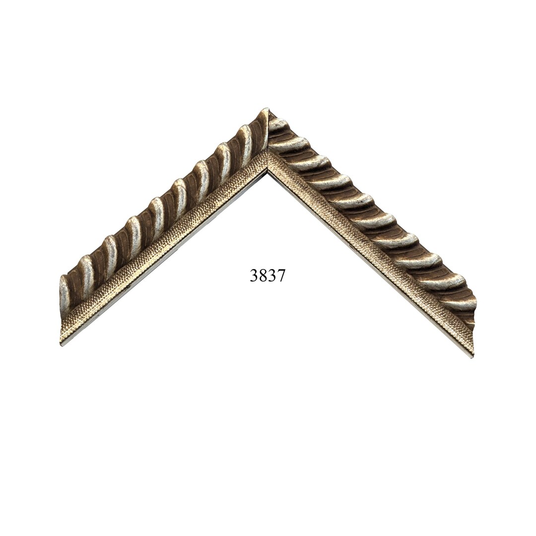 Custom Picture Frame | 1 1/8" Silver Rope | Great for Photos, Art (3837 ...