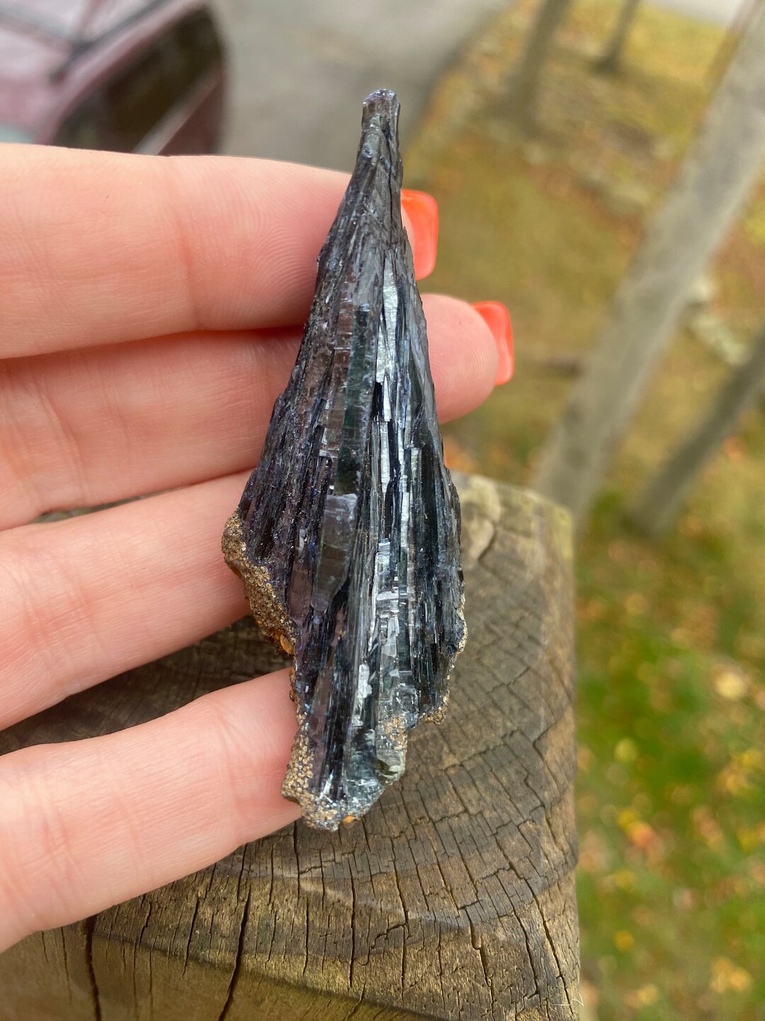 Vivianite Corpse Crystal Specimen - Etsy