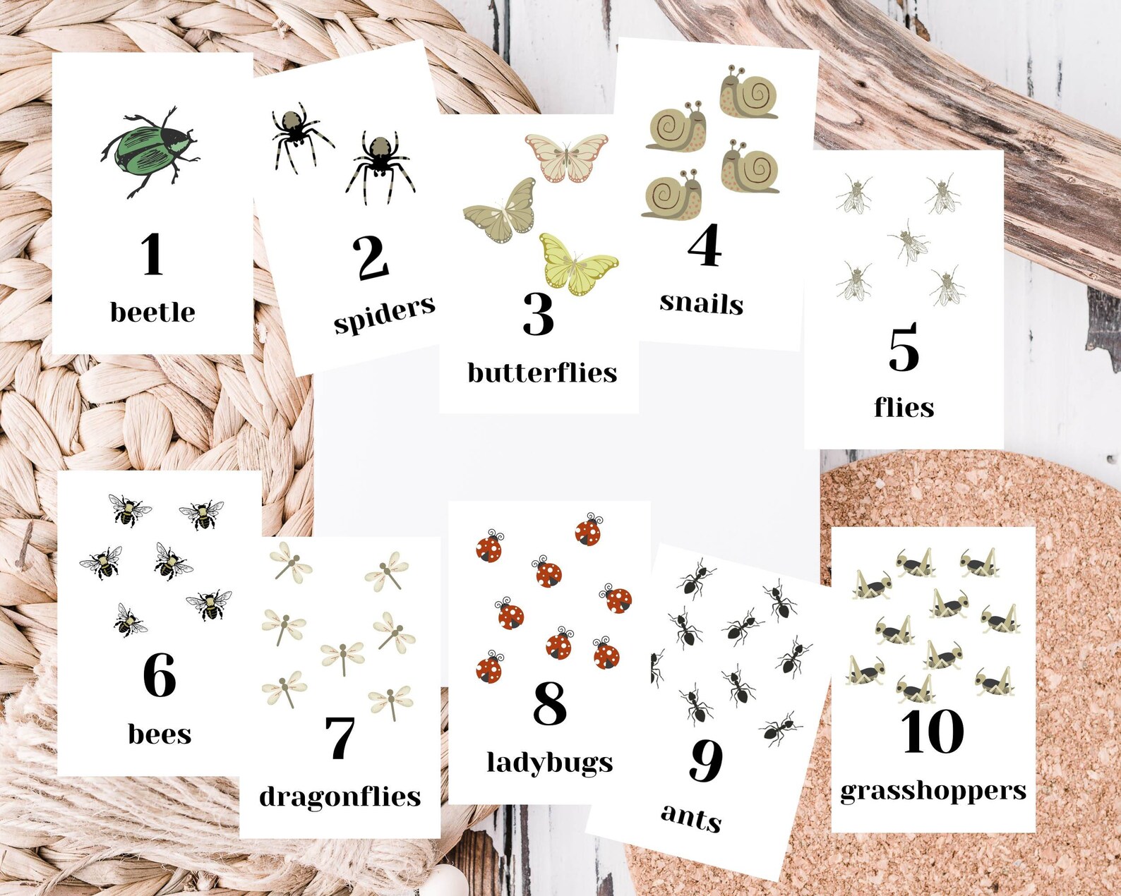 Conjunto de 10 Tarjetas de conteo BUG: Tarjetas digitales, niños ...