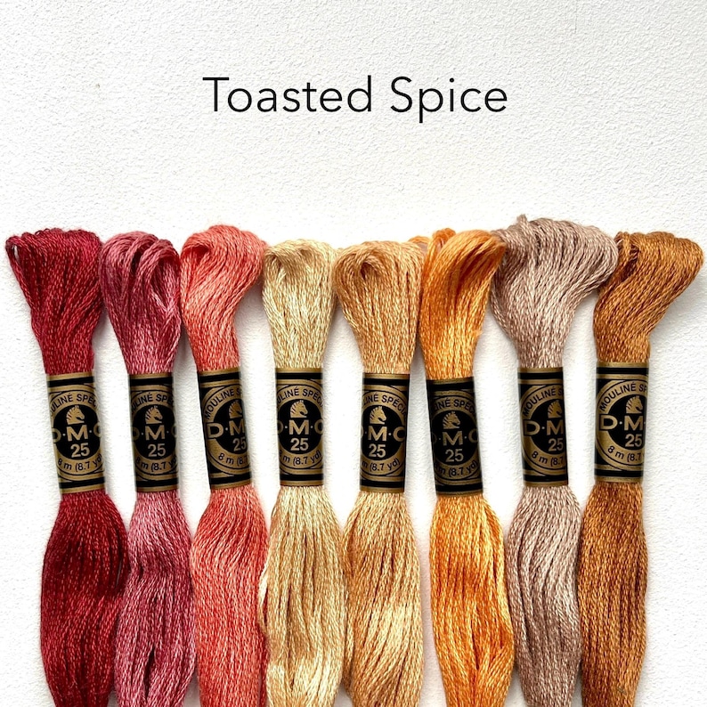 DMC Embroidery Floss Bundle: Curated Color Palettes - Etsy