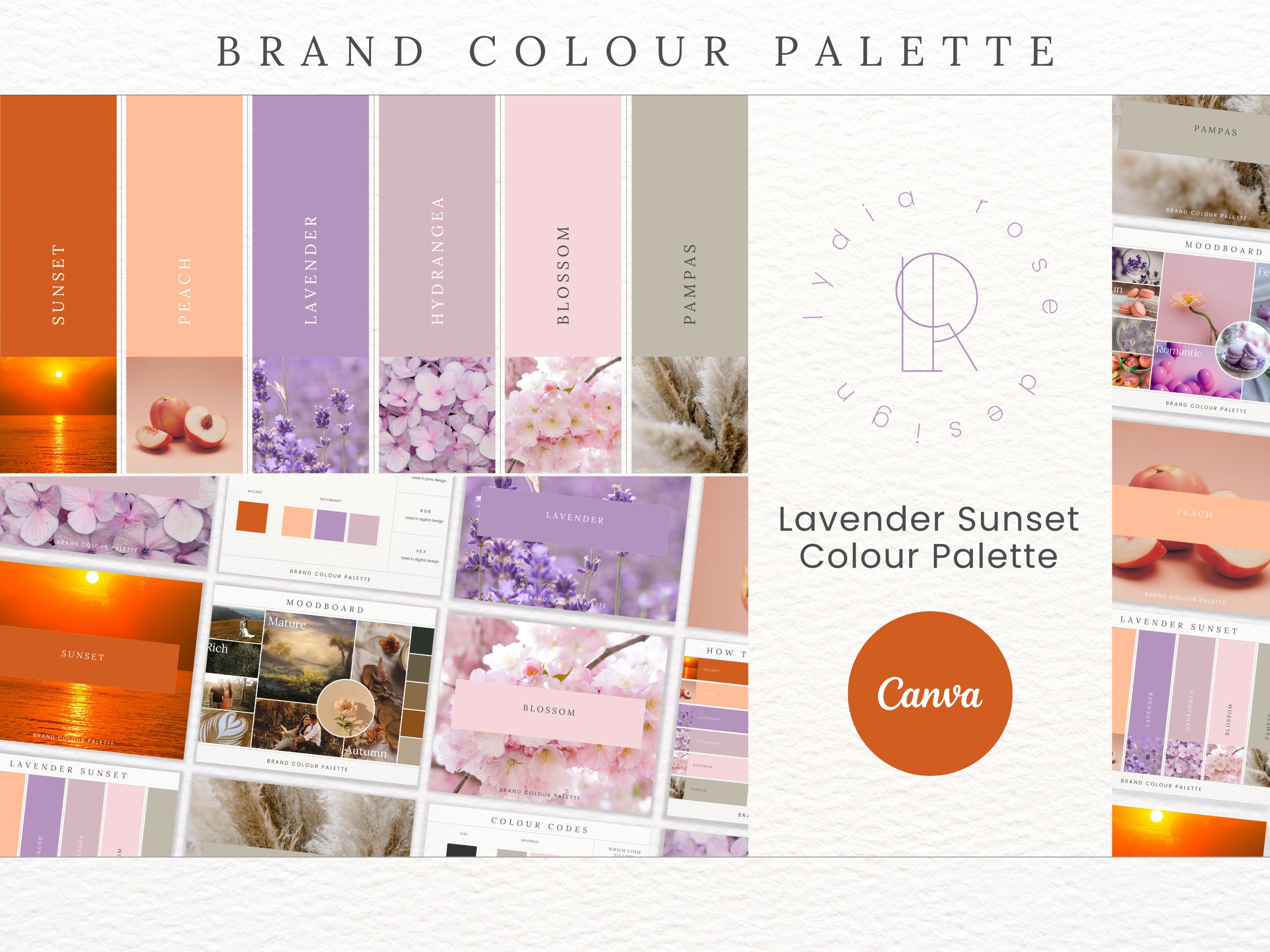 Premium Colour Palette Colour Palette With CMYK, RGB & Hex Codes ...