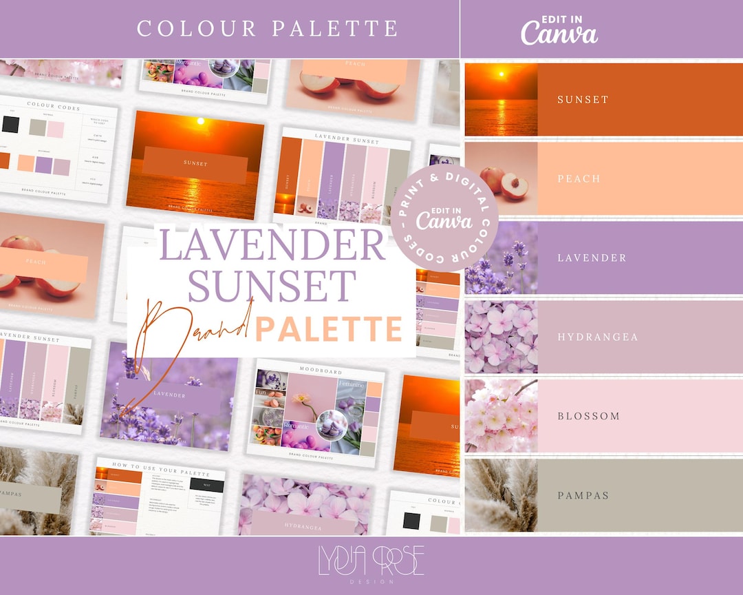 Premium Colour Palette | Colour Palette With CMYK, RGB & Hex Codes ...