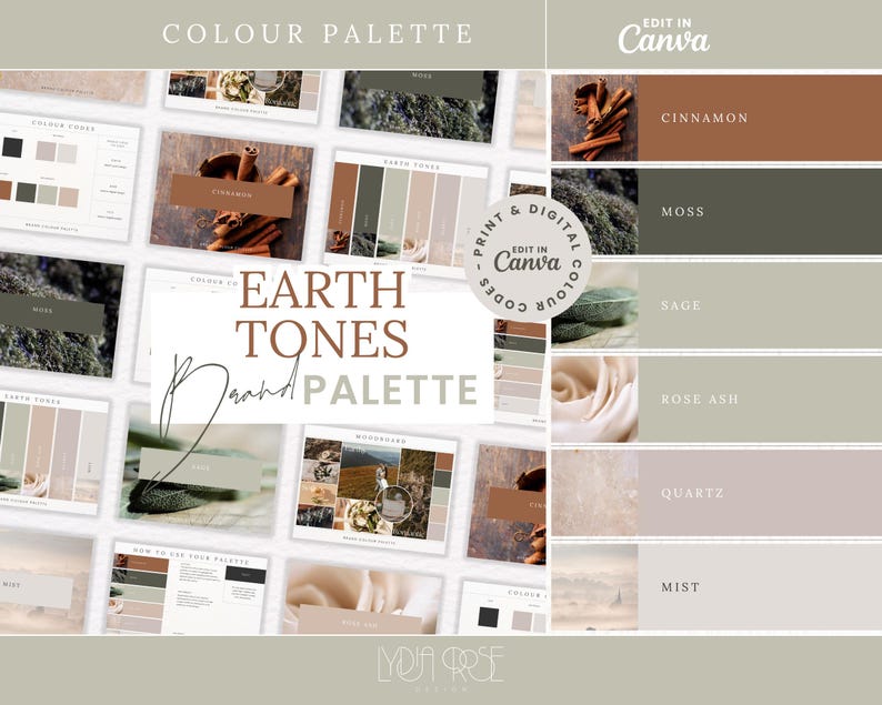 Premium Colour Palette | Colour Palette With CMYK, RGB & Hex Codes ...