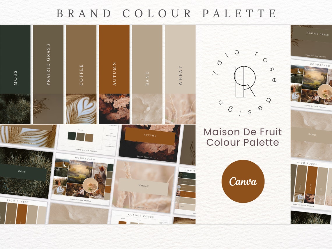 Premium Colour Palette Colour Palette With CMYK, RGB & Hex Codes ...