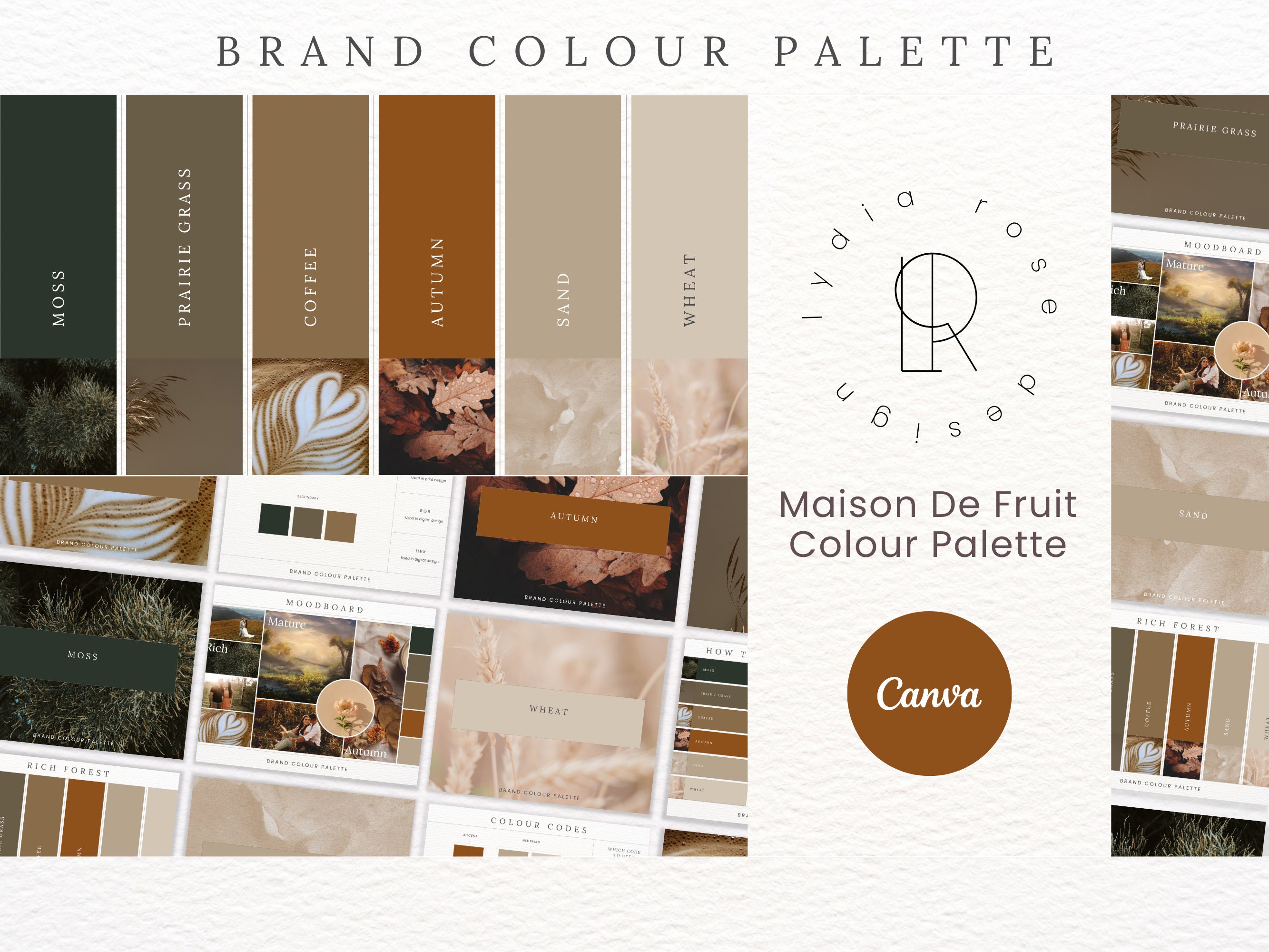 Premium Colour Palette Colour Palette With CMYK, RGB & Hex Codes ...