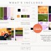 Halloween Premium Colours | Colour Palette With CMYK, RGB & Hex Codes ...
