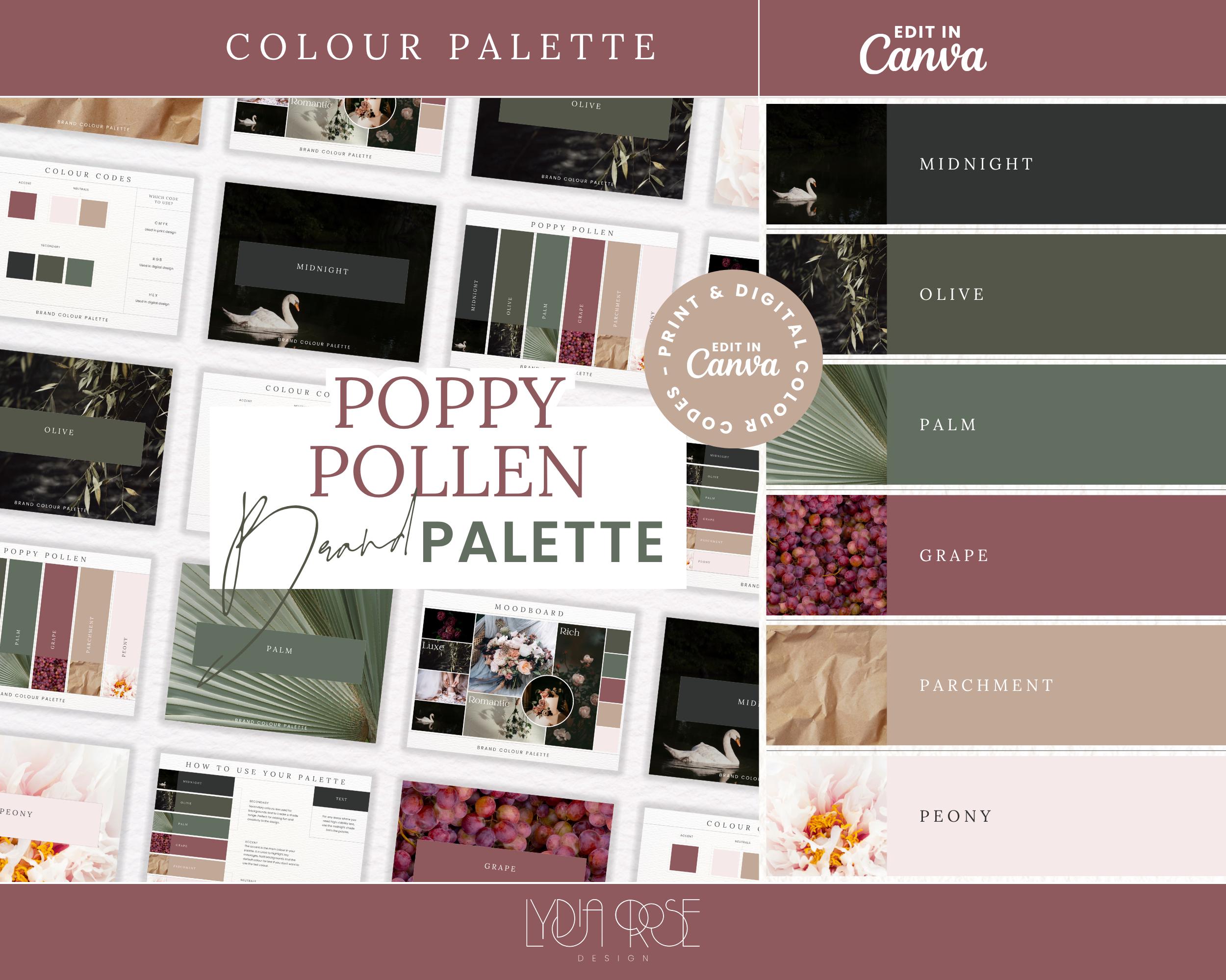 Premium Colour Palette | Colour Palette With CMYK, RGB & Hex Codes ...