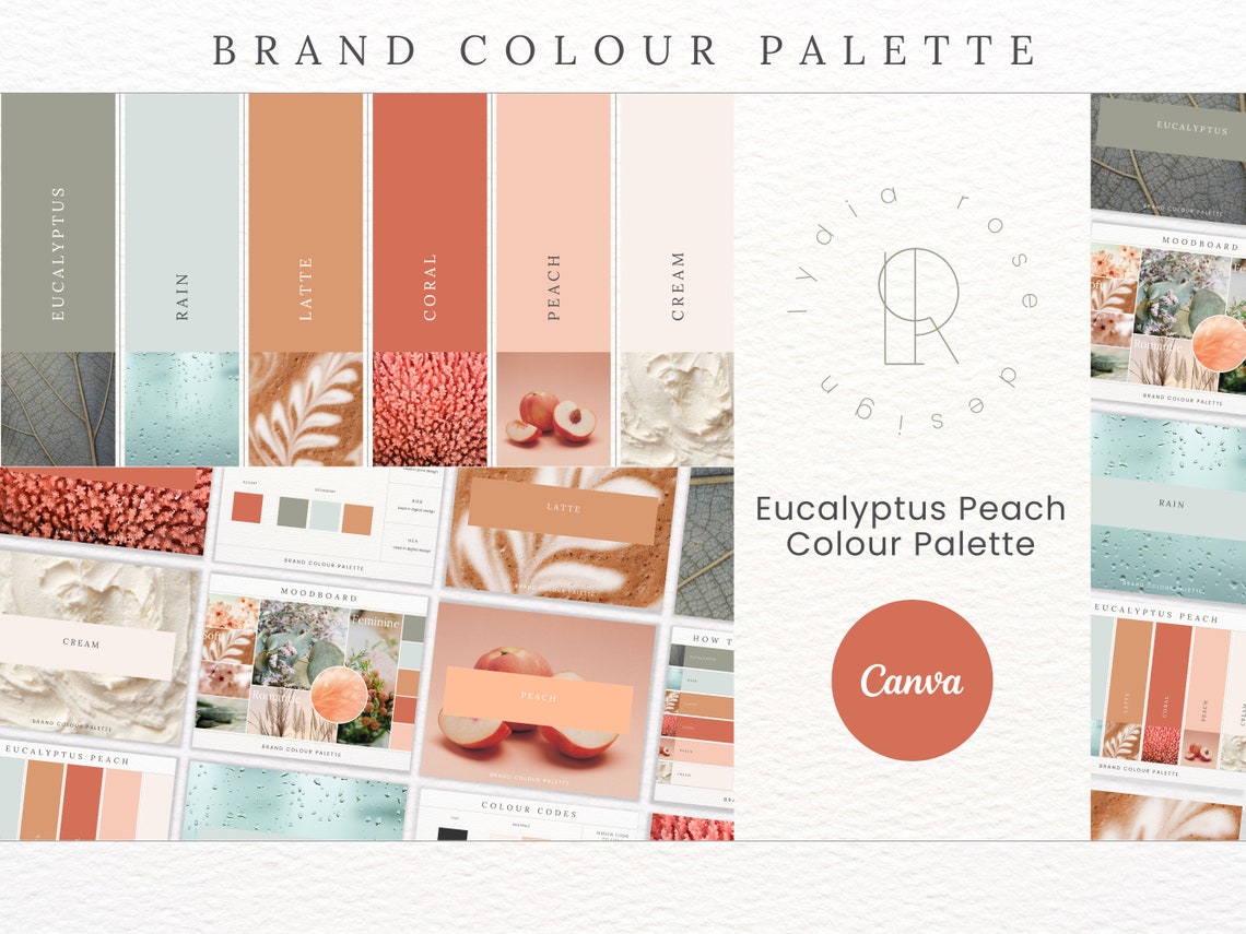 Premium Colour Palette Feminine Colour Palette With CMYK, RGB & Hex ...