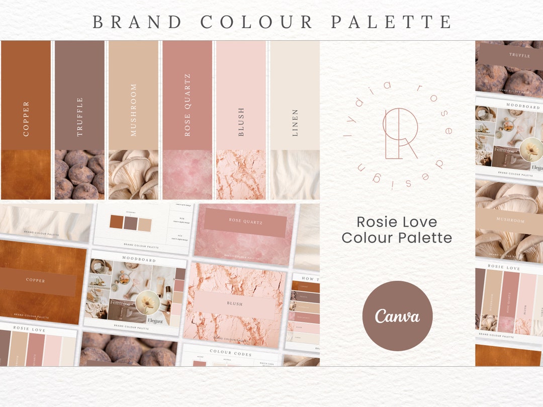 Paleta de colores de marca / CMYK, RGB y códigos hexadecimales / Kit de ...